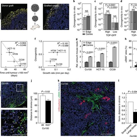 Stochastic Modelling And Data Inference Identify Spatiotemporal Download Scientific Diagram
