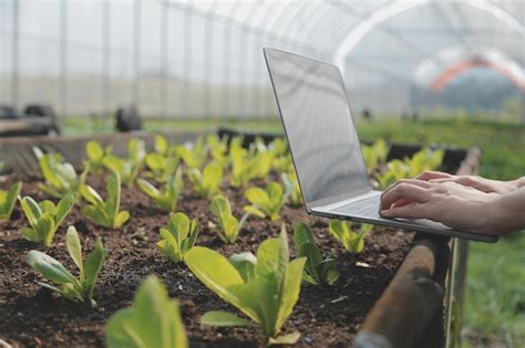 Mujer Agricultora Asiática Usando Tableta Digital En Huerta En Invernadero Concepto De