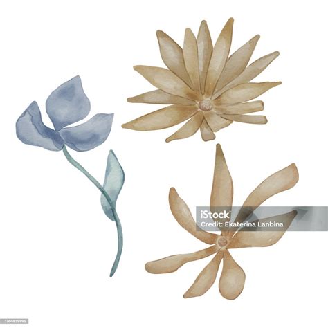 하얀 배경에 고립된 아기를 위한 추상적인 식물들이 있는 수채화 그림 손으로 그린 중립 꽃 파스텔 색상의 꽃입니다 생일 엽서 또는 신생아 샤워 초대장 요소 0명에 대한 스톡