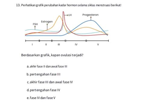 13. Perhatikan grafik perubahan kadar hormon | StudyX