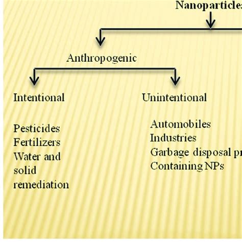 The Structure Of A Single Celled Alga Protococcus Is Similar In Some