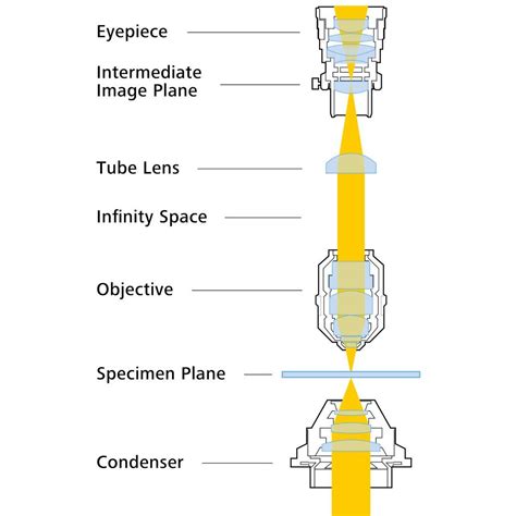 Basic Principles Of Infinity Optical Systems Zeiss