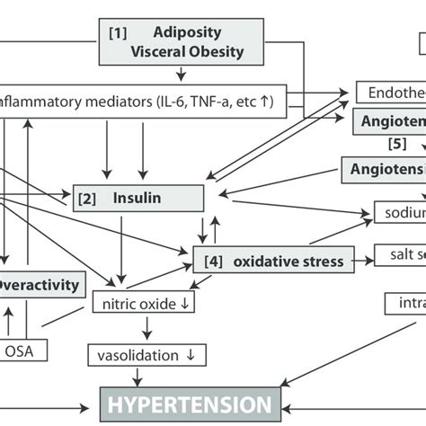Pdf Atypical Antipsychotics And Metabolic Syndrome