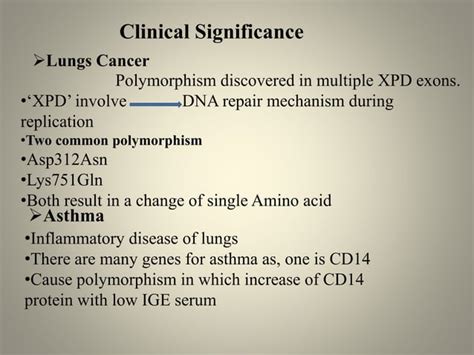 Genetic Polymorphism And It S Applications PDF