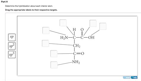 Solved Determine The Hybridization About Each Interior Atom