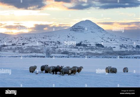 Total Lunar Eclipse Stock Photo Alamy