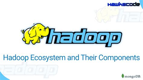 Master Hadoop Ecosystem Web Design Services Web Development Company Hawkscode