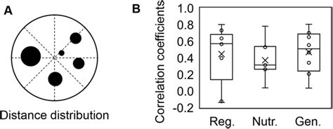 Spatial Analysis Of The Distance From The Centre A Illustration Of Download Scientific