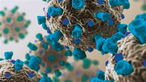 Performance Characteristics Of Four High Throughput Immunoassays For Detection Of Igg Antibodies