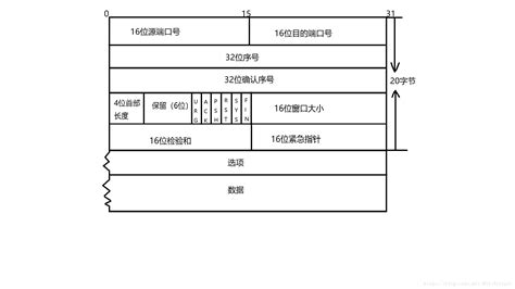 Udp和tcp协议及代码实例doip协议代码 Csdn博客
