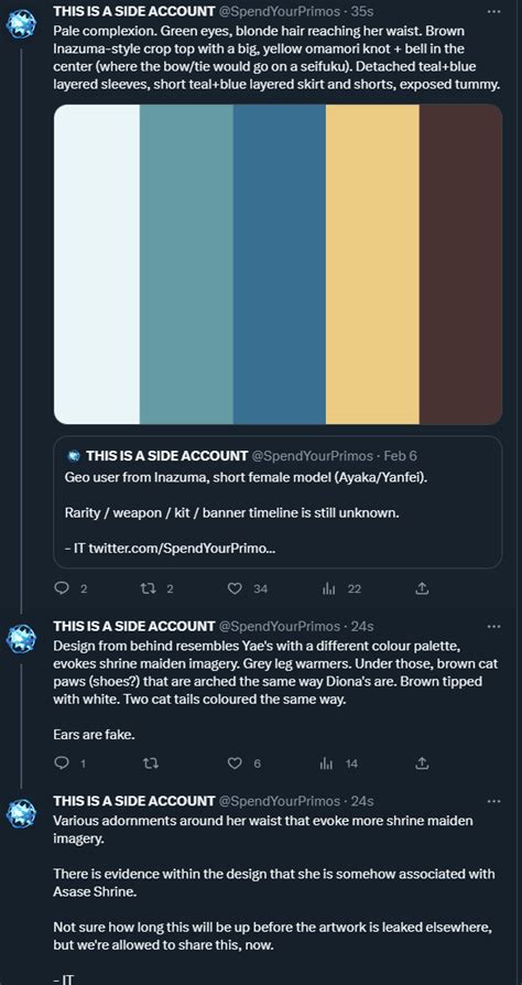 Geo Cat Girl Design Details R Genshin Impact Leaks