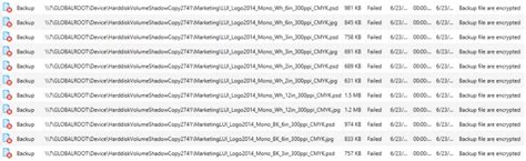 One Or More Files Are Efs Encrypted On File Level Backup Knowledge Base