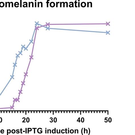 Pyomelanin Absorbance Measurements ∆od405 ~ Amount Of Hga Consumed By Download Scientific