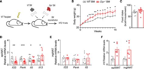 Frontiers Gipr Signaling In Immune Cells Maintains Metabolically Beneficial Type 2 Immune