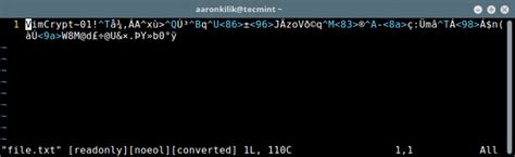 How To Password Protect A Vim File In Linux