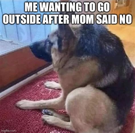 I Want Go Outside Imgflip