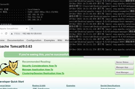apache tomcat rce 稳定复现 保姆级！ cve 2024 50379 附视频 poc csdn博客