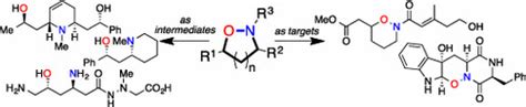 Hydroxylamines From Synthetic Intermediates To Synthetic Targets Accounts Of Chemical Research