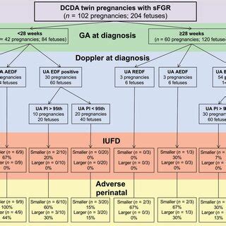 Study Flowchart Outlining The Outcomes Of Twin Pregnancies Diagnosed Download Scientific