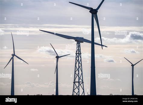 Rotor Wind Turbine
