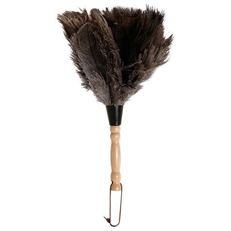 Ostrich Feather Duster