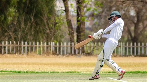 cricket spikes vs grippers key differences and uses
