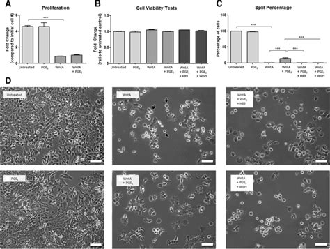 Pge2 Dependent Effect On Proliferation Behaviour A Over The Download Scientific Diagram