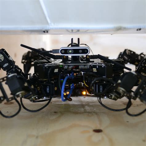 The Hexapod Robot Weaver Adapting Its Walking Posture To Pass Under An Download Scientific