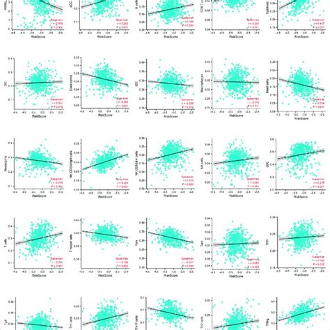 Correlation Of Immune Cell Infiltrates With The Signature Risk Score Download Scientific Diagram