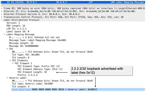 Ldp Packet Capture Ldp Packet Capture