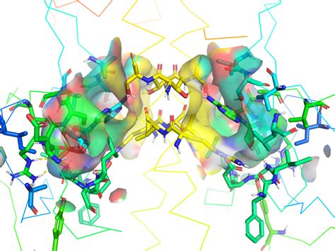 表示形式のプリセット Pymol Book