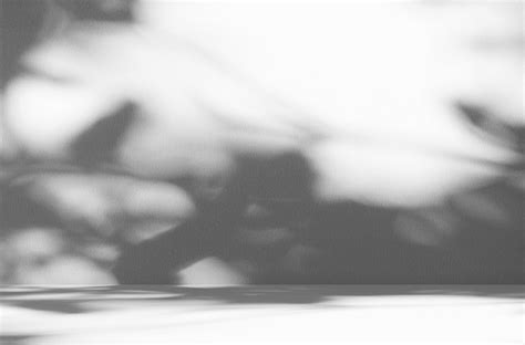 로프트 제품 스튜디오 룸 배경 연단 식물 시멘트 콘크리트 배경에 그림자 잎 창 집 바닥 벽 테이블 주방 카운터 바 책상 선반