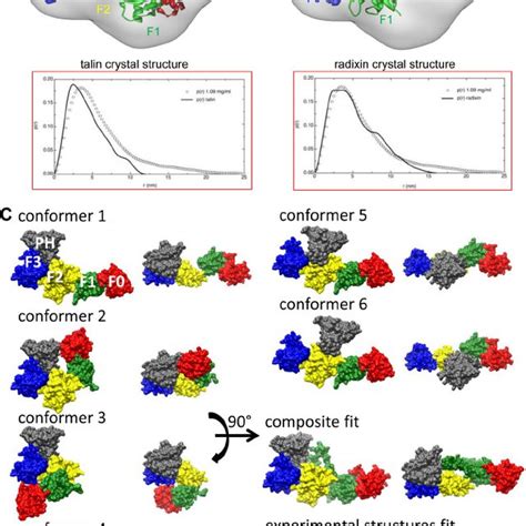 Kindlin Protein Domain Structure And Sequence Alignment A Schematic Download Scientific
