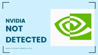 5 Reasons Why Your Nvidia Graphics Card Is Not Detected By Windows 11