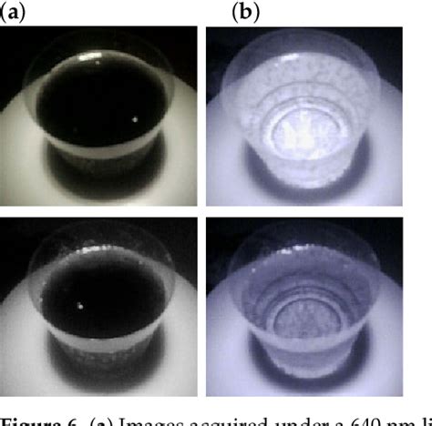 Figure 6 From Multispectral Food Classification And Caloric Estimation