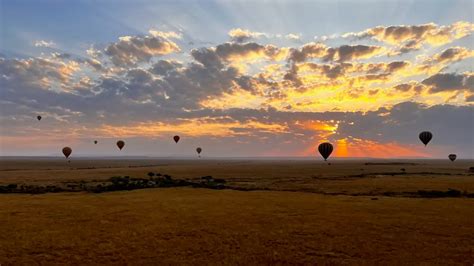 Floating Over The Wild The Ultimate Maasai Mara Hot Air Balloon Adventure Capstone Dream Travel