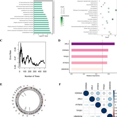 Single Cell Sequencing Clustering Of CRC Samples And Spatial Download Scientific Diagram