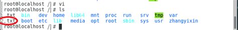 Linux中，文本编辑器一，进入和退出。linux 编辑txt文件后怎么推出到根目录 Csdn博客