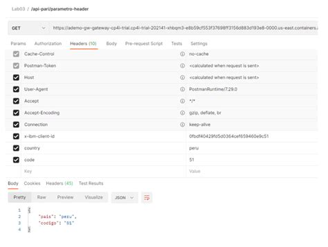 Ibm Api Connect 10 Header Param Y Policy Map Arquitecturaibm Consulting