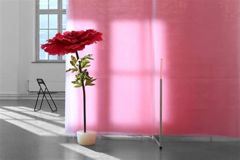 Exzentrische 80er Tabea Blumenschein Hilka Nordhausen Rabe Perplexum Und Kompliz Innen Aus