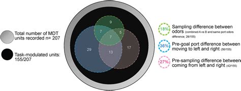 Schematic Representation Of The Stimulus Dependent Activity Of MDT Download Scientific Diagram