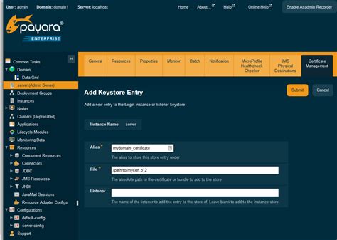 ssl certificate management payara enterprise documentation