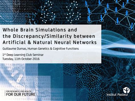 whole brain simulations and the discrepancy similarity between