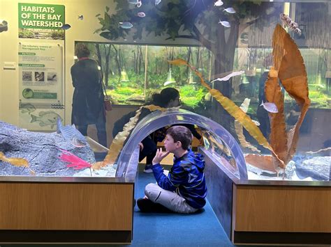 New Save The Bay Aquarium To Open With Mission To Educate And Entertain