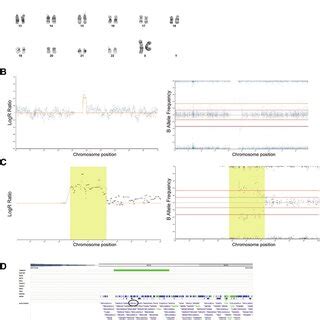 SNP Array Analysis Is Carried Out Using BlueFuse A Example Of A Download Scientific Diagram