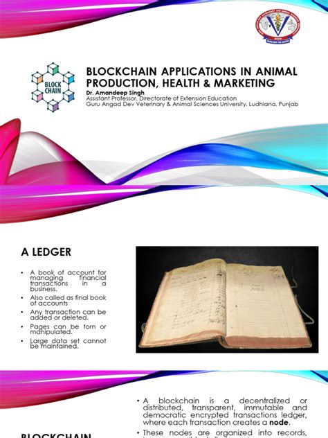 block chain pdf bitcoin