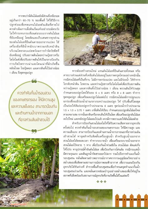 กรมส่งเสริมการเกษตร On Twitter การดูแลสวนไม้ผลหลังน้ำลด🌳🌳🌧️ กรมส่งเสริมการเกษตร ศูนย์วิทย
