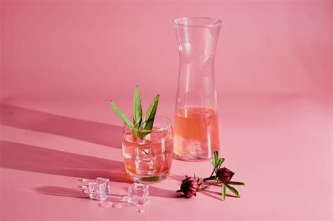 차가운 로젤 차 히비스커스 사브다리파 고립된 분홍색 배경에 얼음이 있는 유리 컵에 담긴 카르카데 유기농 및 여름 음료 0명에 대한 스톡 사진 및 기타 이미지 Istock