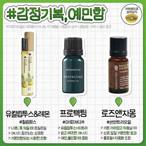 상황별 효과 좋은 아로마 오일 추천서 지식사이트 In 2024 Helpful Hints Perfume Smell Good
