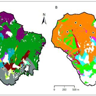 TLS Data Coverage Per Each Scanner Position During A The September Download Scientific